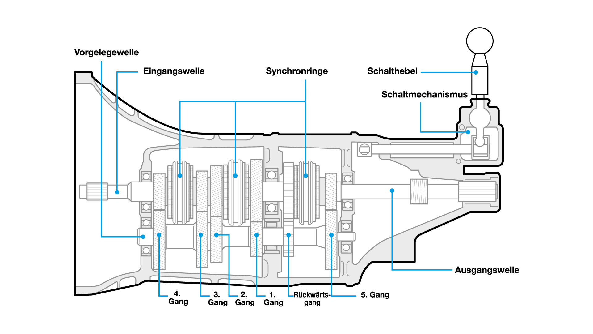 Beyond the Apex - gran-turismo.com